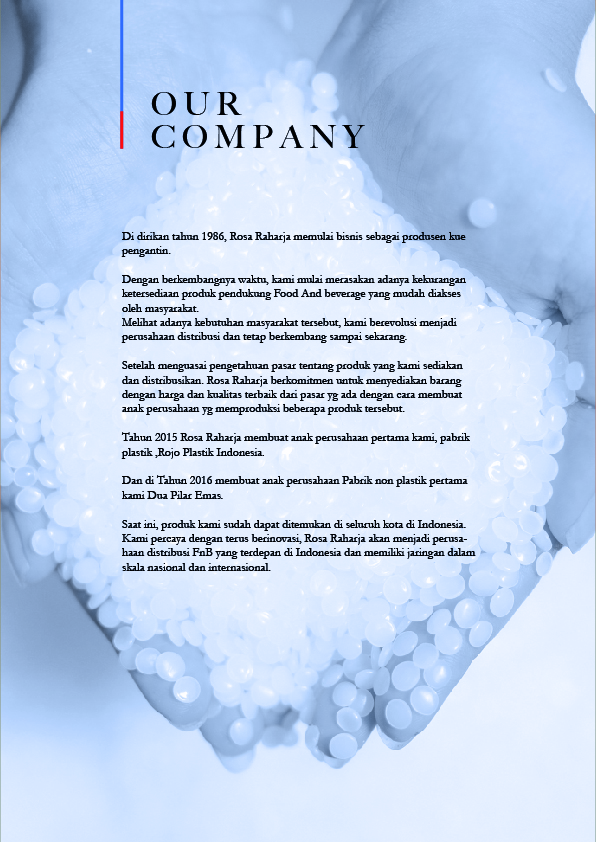 Company Profile | Rosa Raharja Group